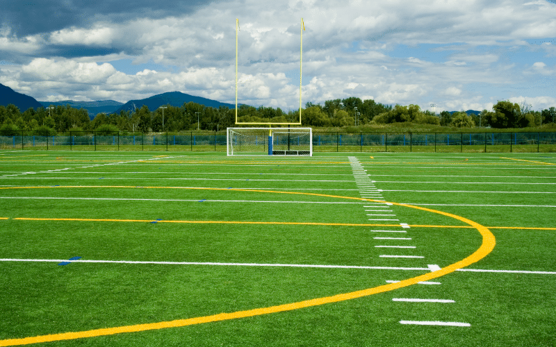 Artificial Turf Lincoln Park TX | Synthetic Grass Contractor